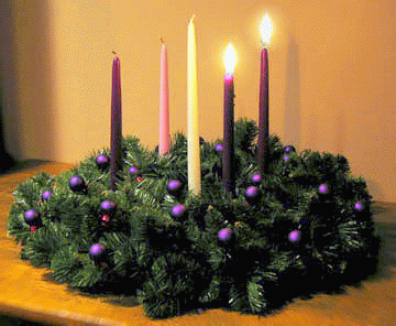WOUNDED BIRD: SECOND SUNDAY IN ADVENT